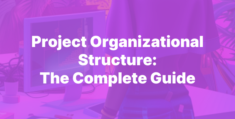 Project Organizational Structure: The Complete Guide